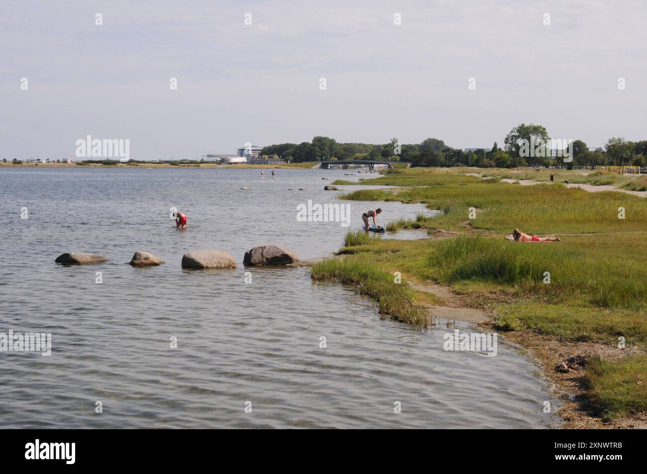 Aamager /Copenhagen/ Denmark/02 August 2024/ Amager beach ad also ...