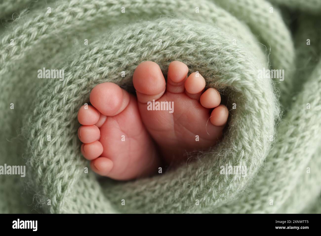 Soft feet of a newborn in a olive green blanket. Close up of toes ...