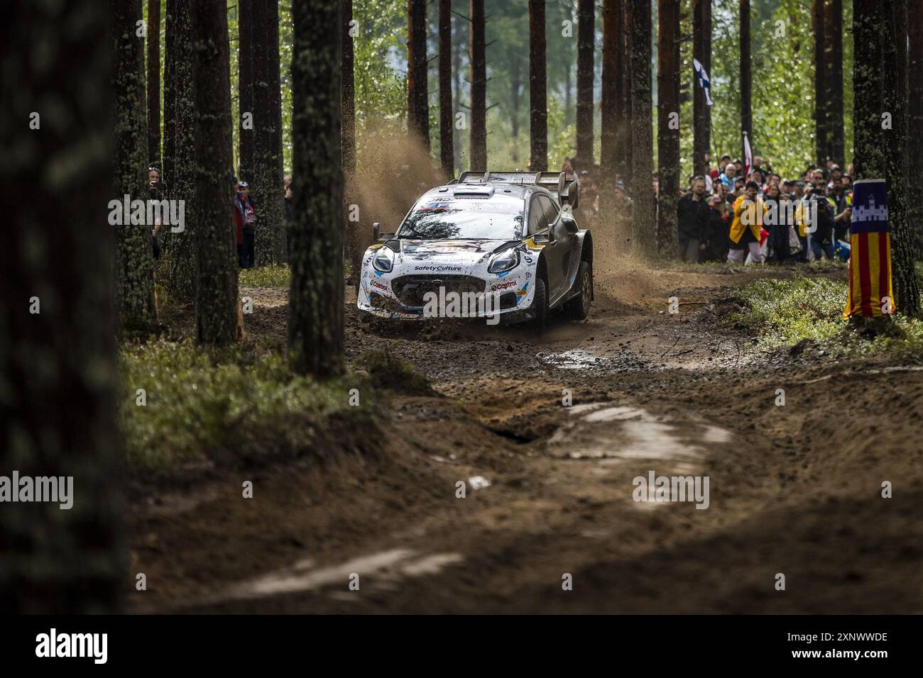 13 MUNSTER Gregoire, LOUKA Louis, Ford Puma Rally1, action during the ...