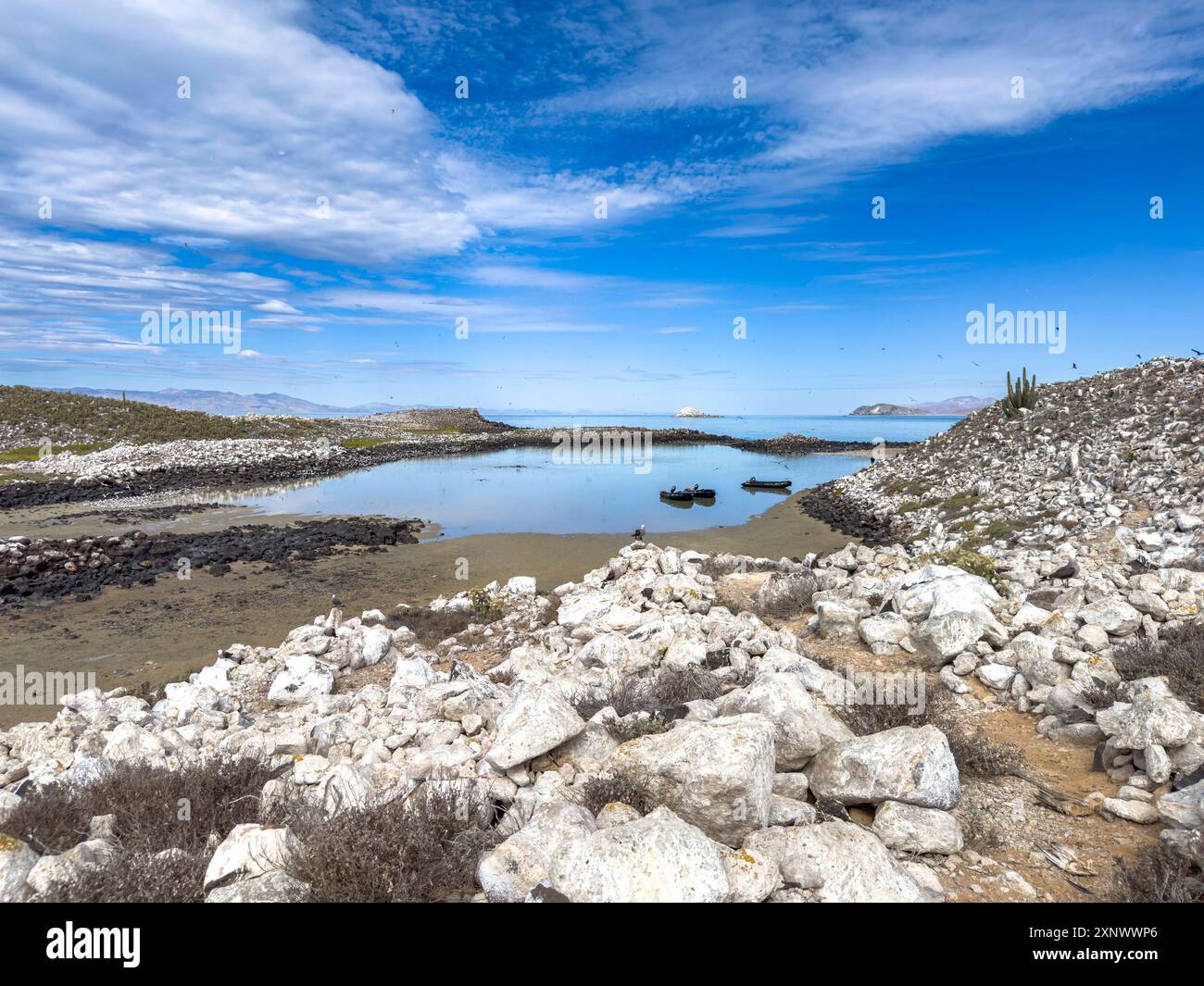The inner lagoon on Isla Rasa, an important nesting site for terns and ...