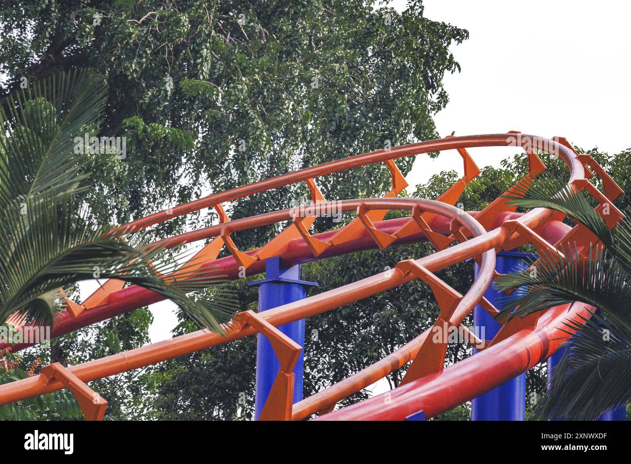 9 July 2017, Jakarta, Indonesia, South East Asia, People rides roller ...