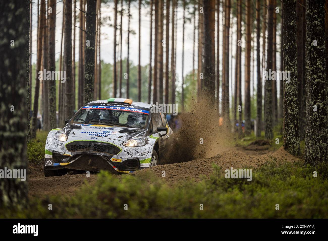 38 CREIGHTON William, REGAN Liam, Ford Fiesta Mk II Rally2,action ...