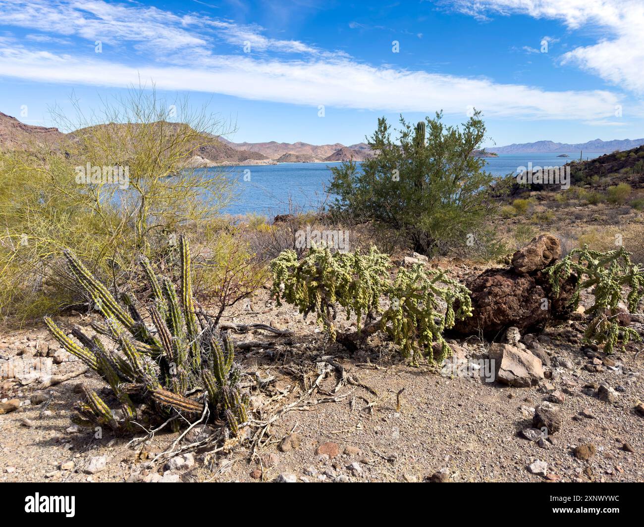 A view from the surrounding mountains of Concepcion Bay, Baja ...
