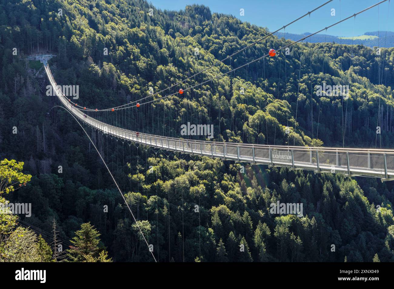 Blackforestline hi-res stock photography and images - Alamy