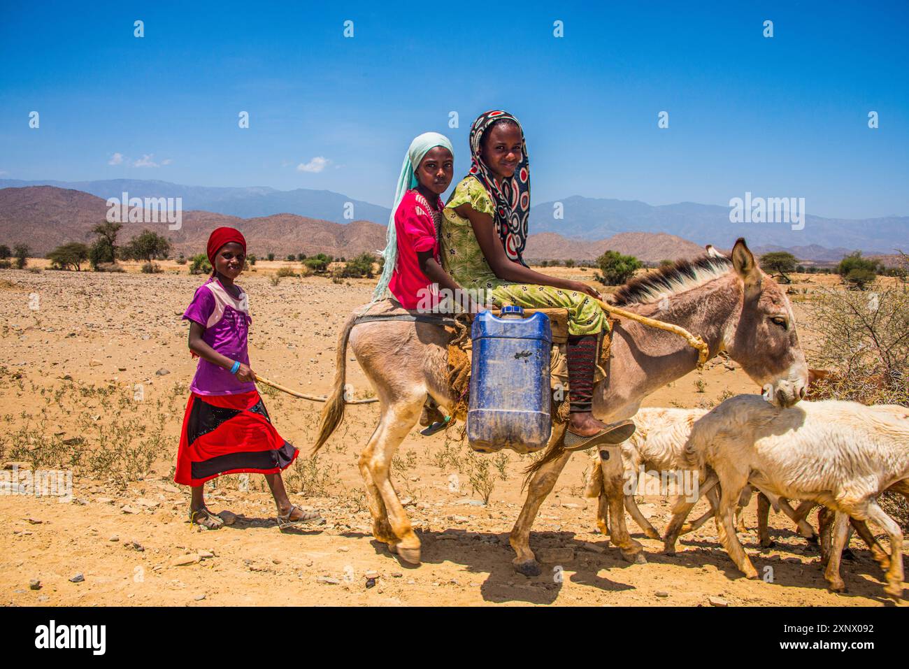 Children riding a donkey hi-res stock photography and images - Alamy
