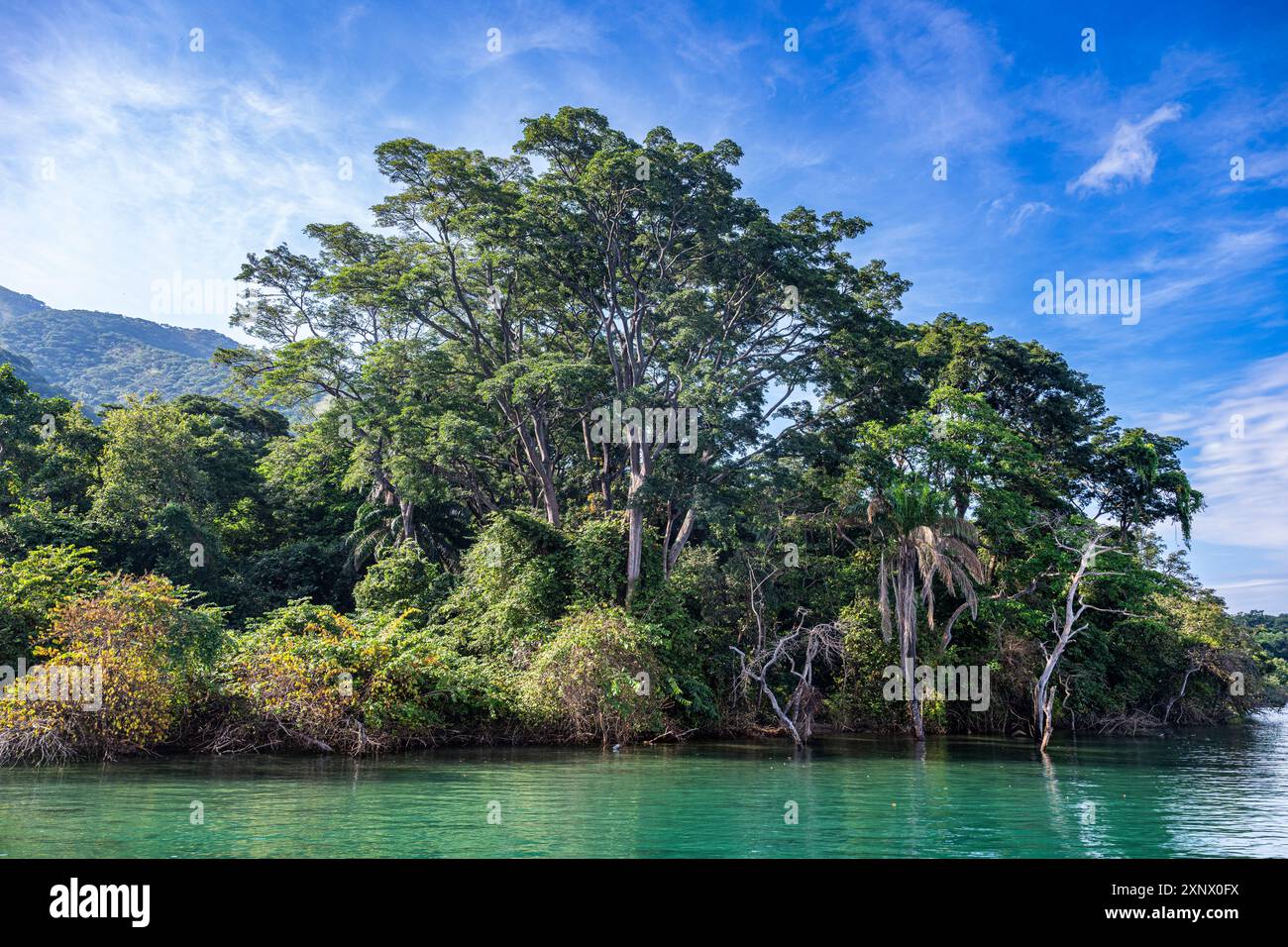 Rain forest in the Gombe Stream National Park, Lake Tanganyika ...