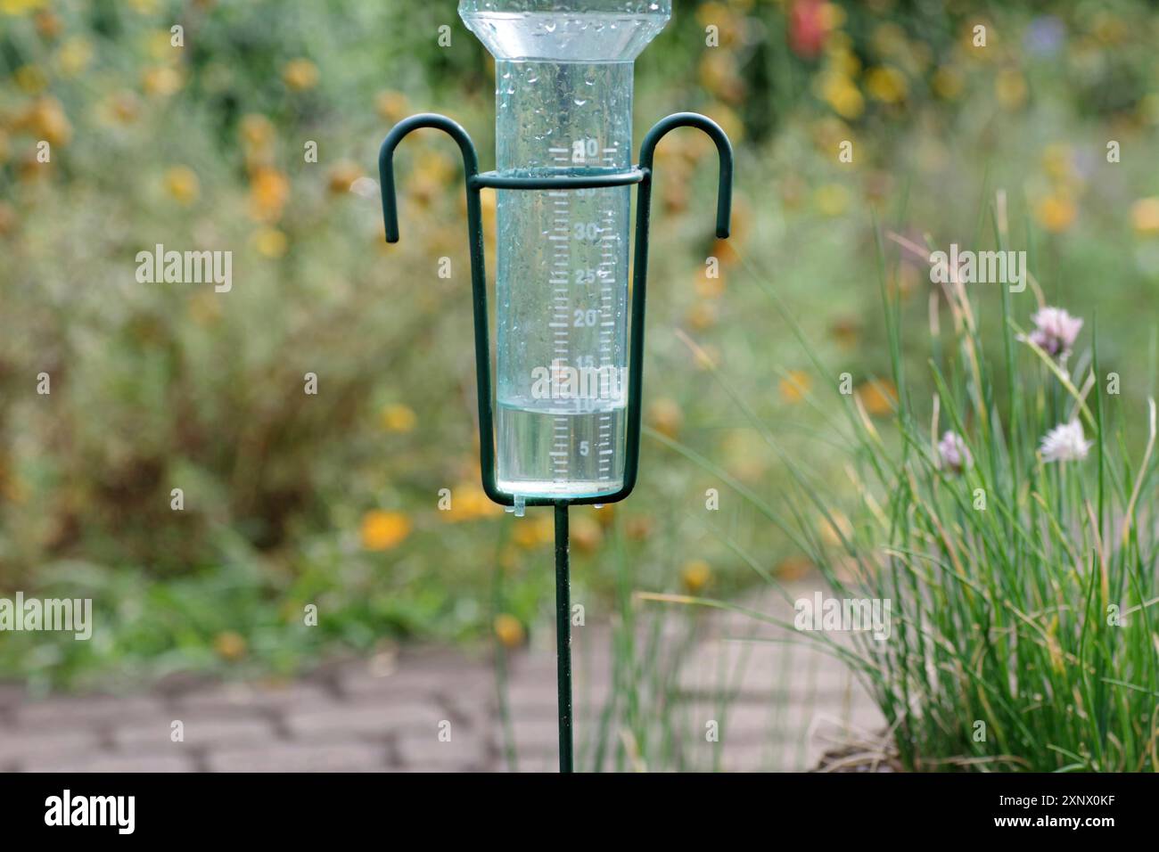 Rain gauge, scale, rain, display, garden, A rain gauge is filled with ...
