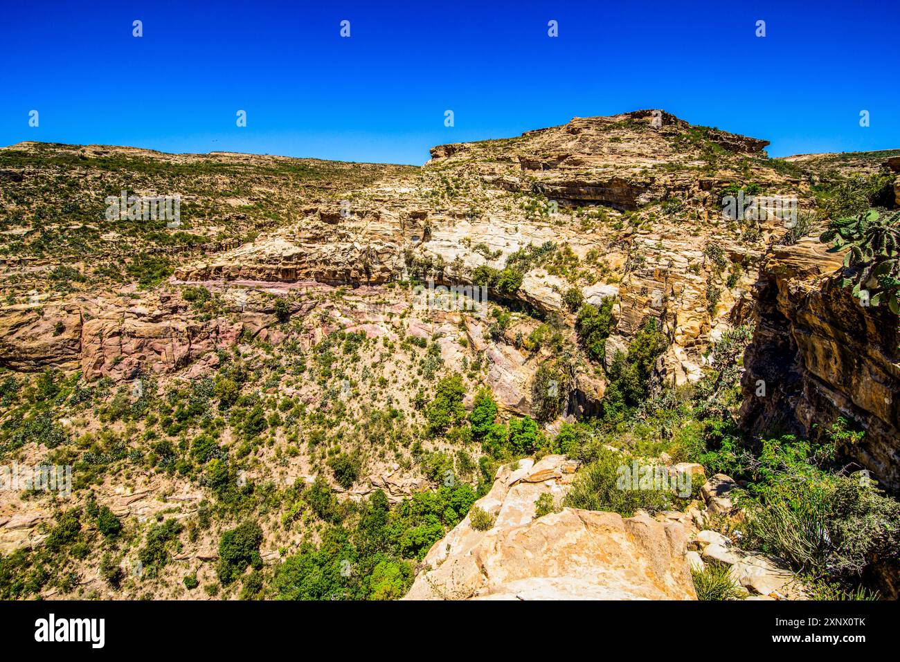 Huge canyon at the Pre-Aksumite settlement of Qohaito Koloe, Eritrea ...