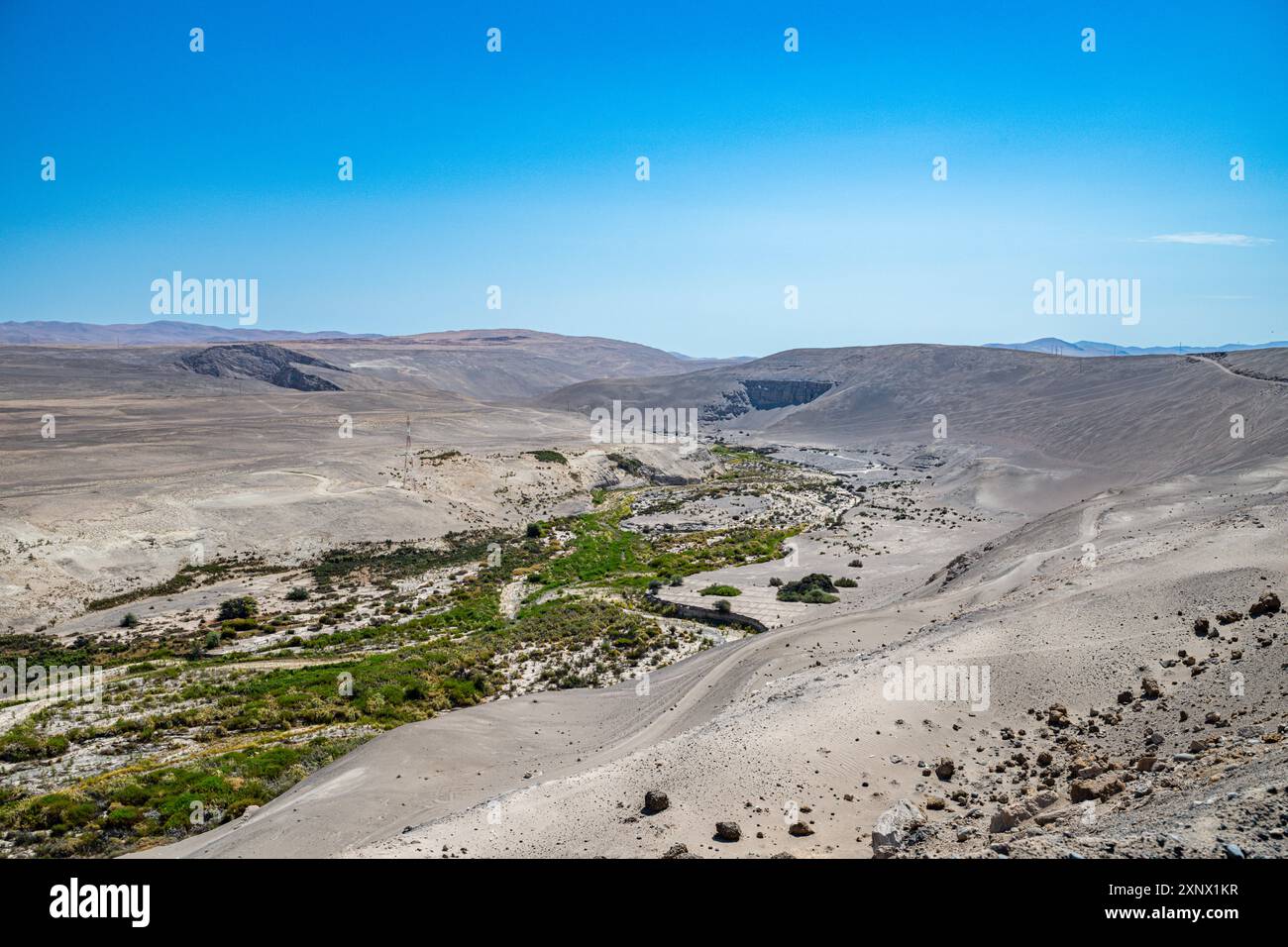 Green canyon in the dry Atacama desert, Chile, South America Stock ...