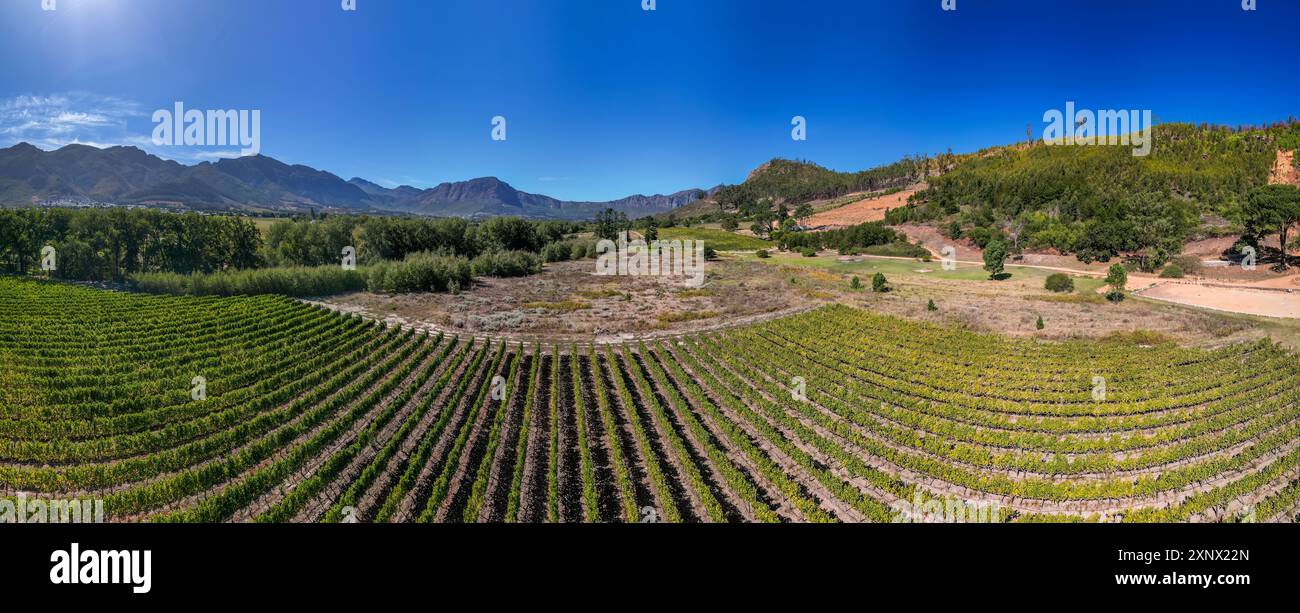 Trails through flowers and wildlife at Mont Rochelle Nature Reserve ...