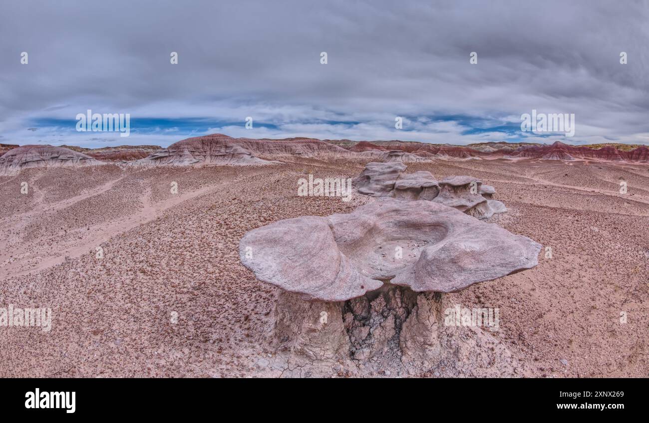 Petrified forms hi-res stock photography and images - Alamy