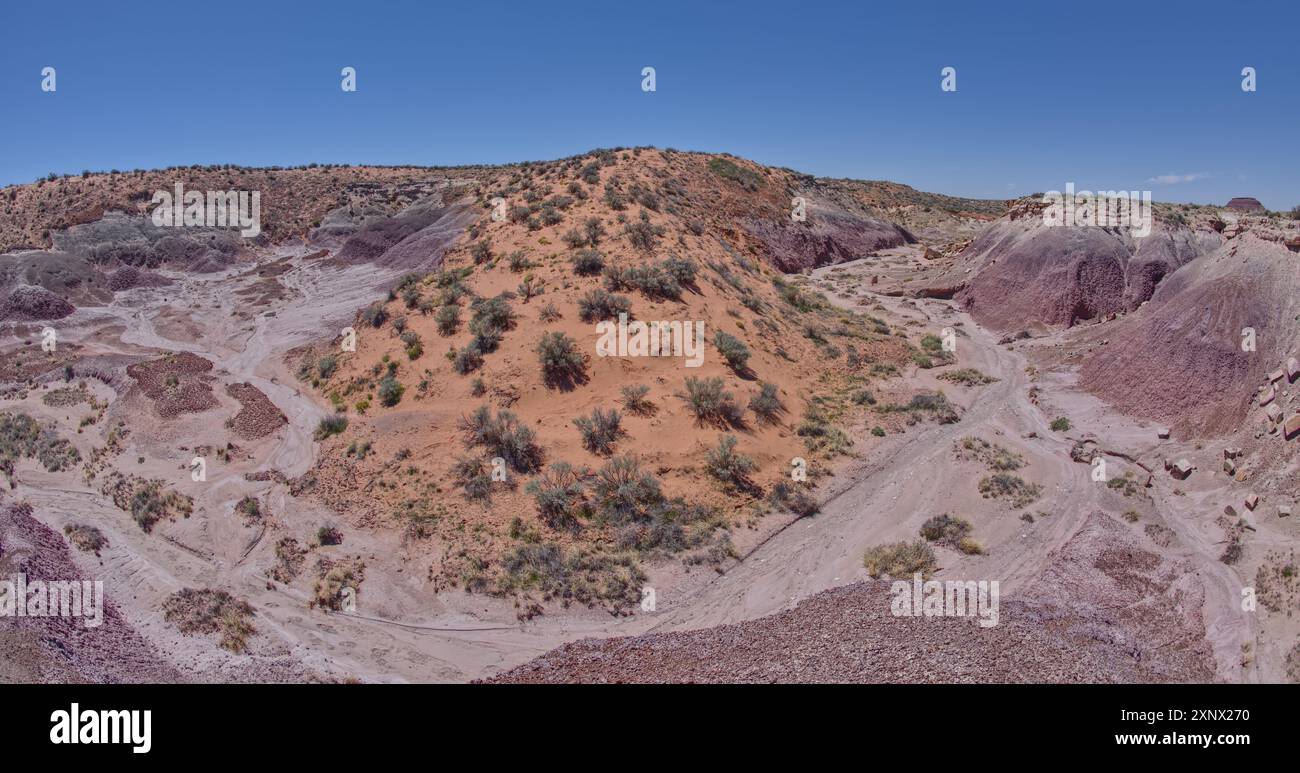A sloping red sand dune above Hamilili Wash in Petrified Forest ...