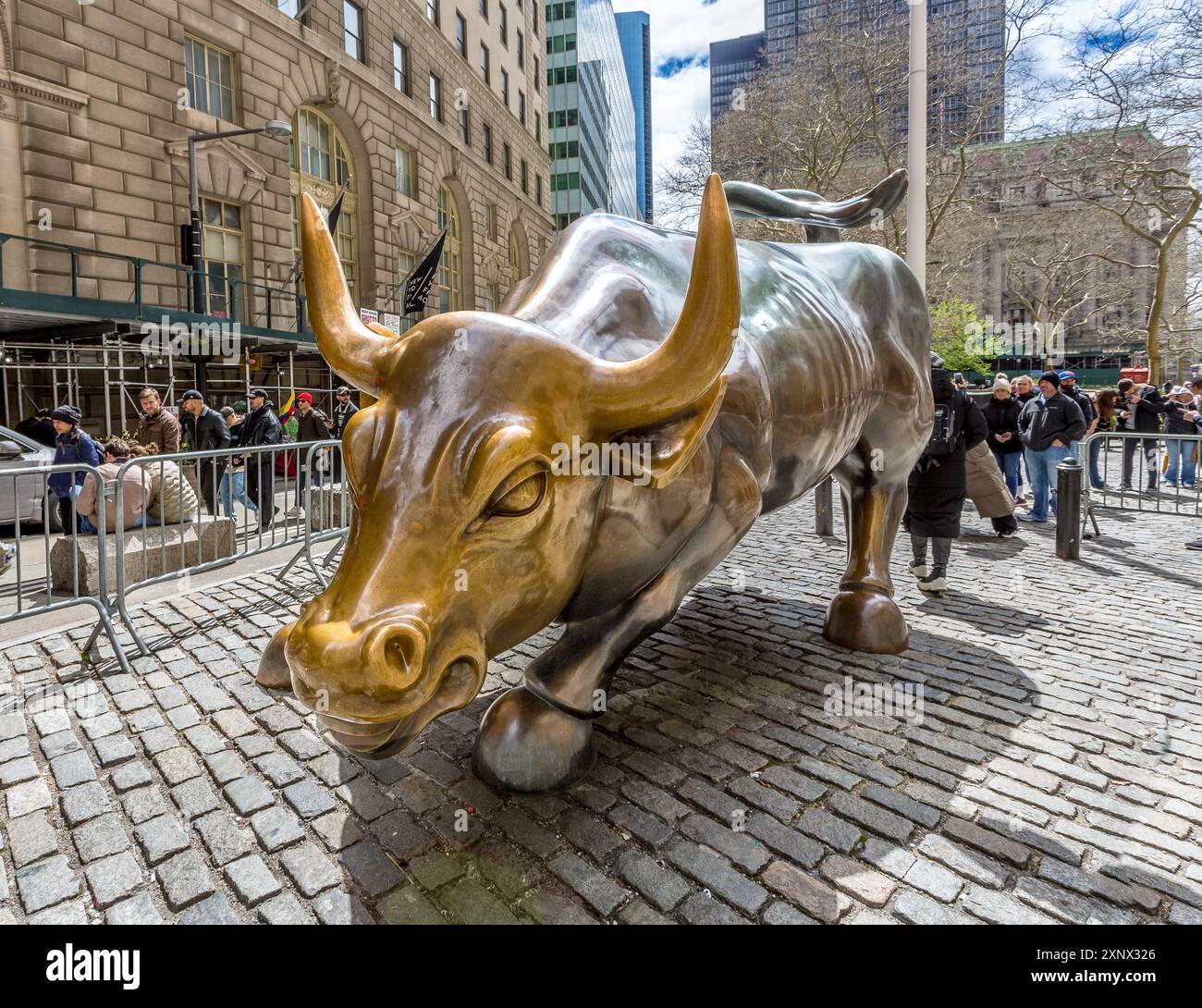Charging Bull sculpture, near to Wall Street, installed in 1989 and symbolises the Financial ...