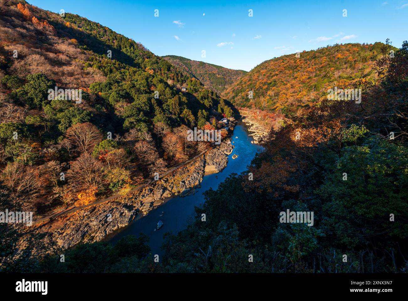 Autumnal forests in Arashiyama of Kyoto, Honshu, Japan, Asia Stock ...