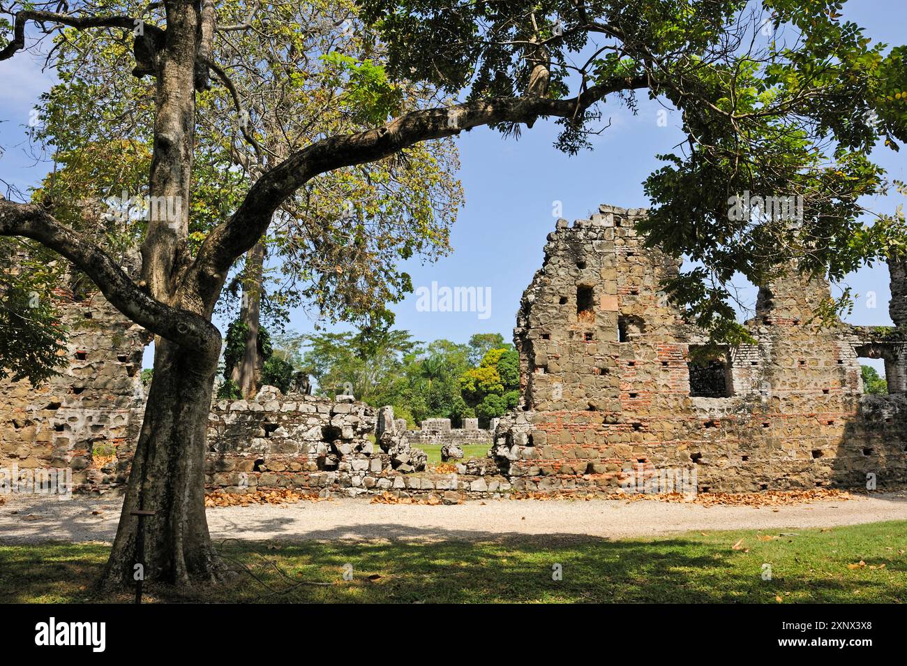 Ruins of the archaelogical site of Panama Viejo, UNESCO World Heritage ...