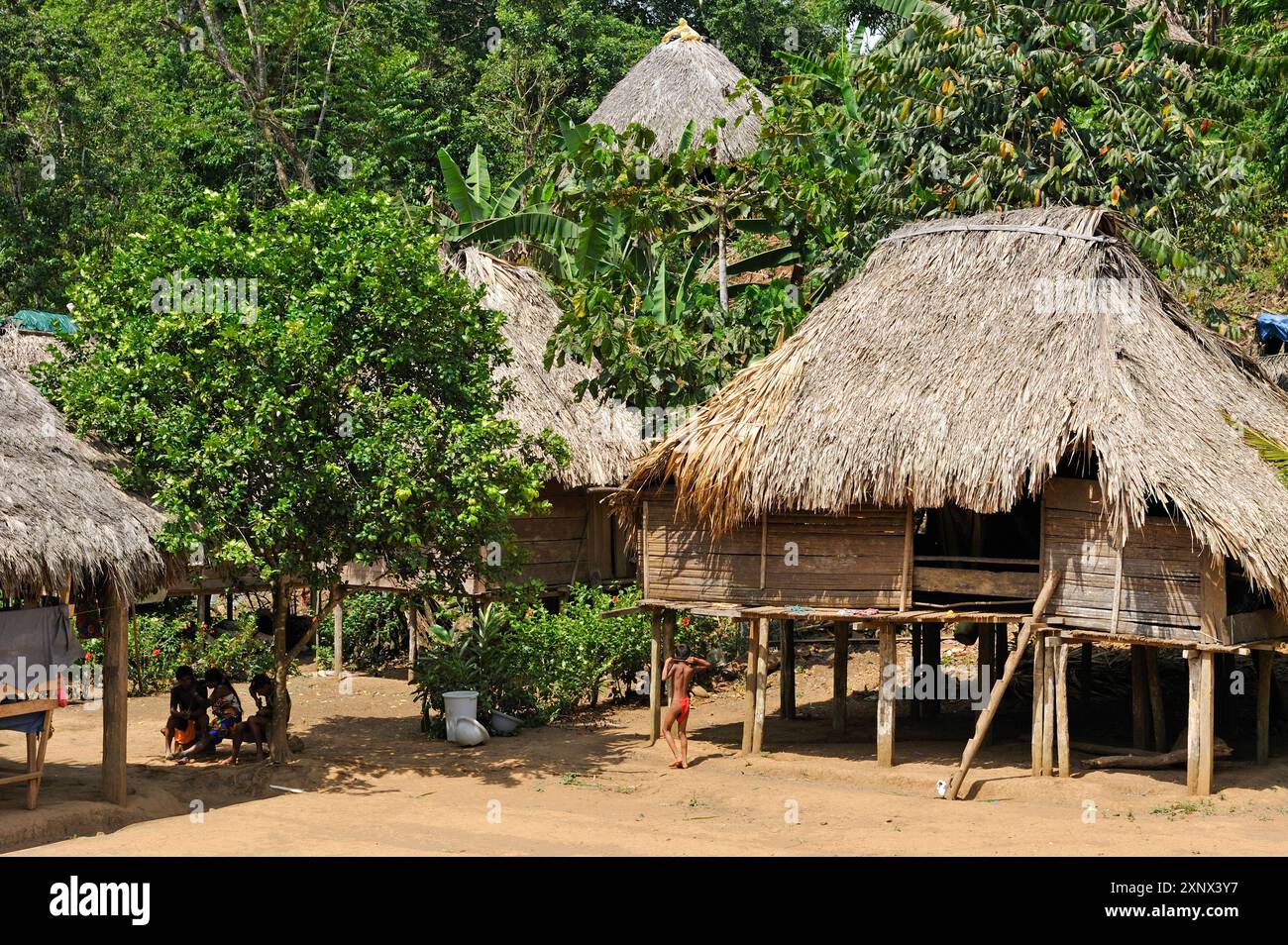 Thatched houses in a village of Embera native community living by the ...