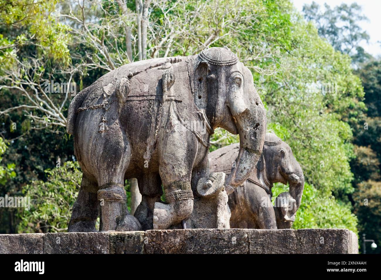 Stone statues of elephants among ruins in the grounds of the mid 13th ...