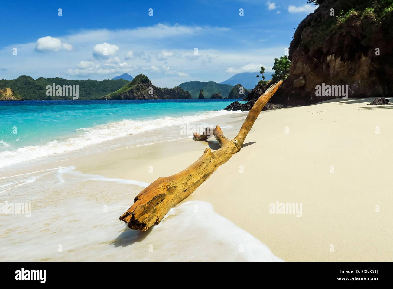 Driftwood on white sand beach at beautiful Mahoro Island with Masare ...