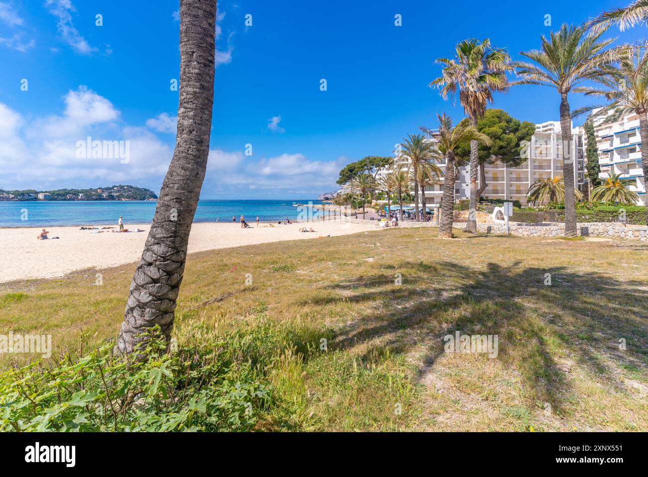 View of beach and hotels in Santa Ponsa, Majorca, Balearic Islands ...