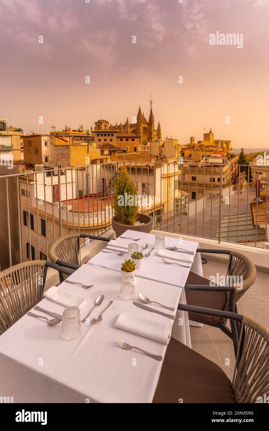 View of Catedral-Basilica de Santa Maria de Mallorca and rooftop ...