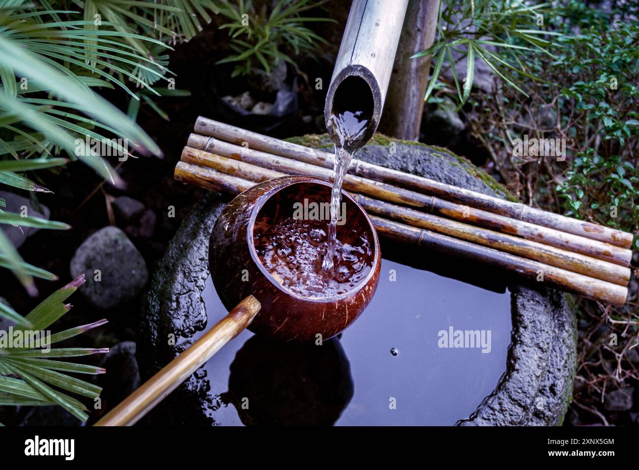 1 September 2013, Jakarta, Indonesia, South East Asia, Zen garden ...