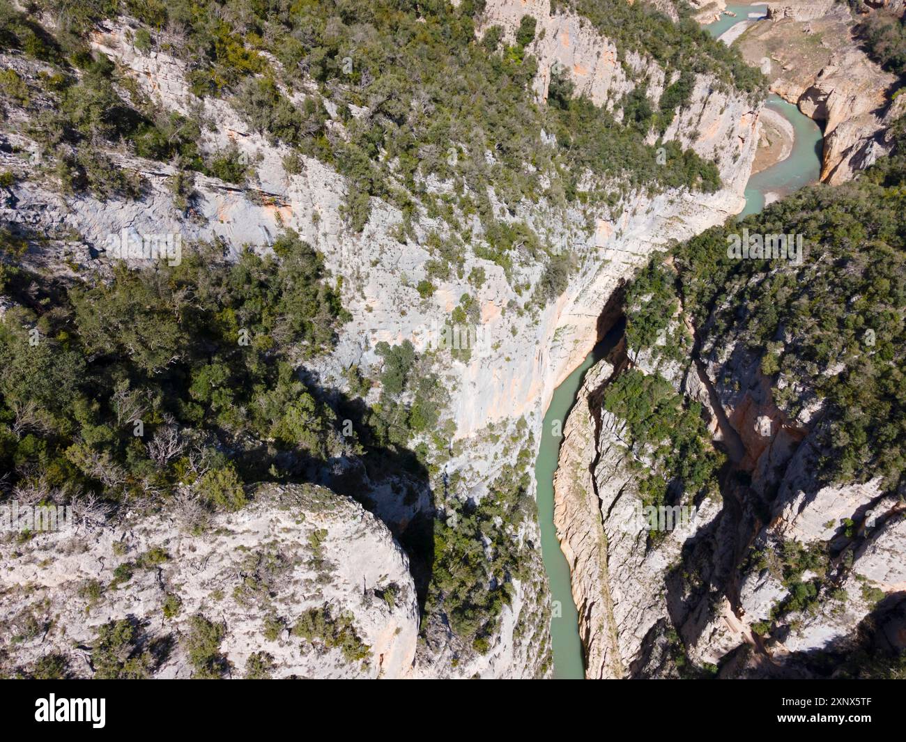 An aerial view of a deep, vegetation-rich gorge with a meandering river ...