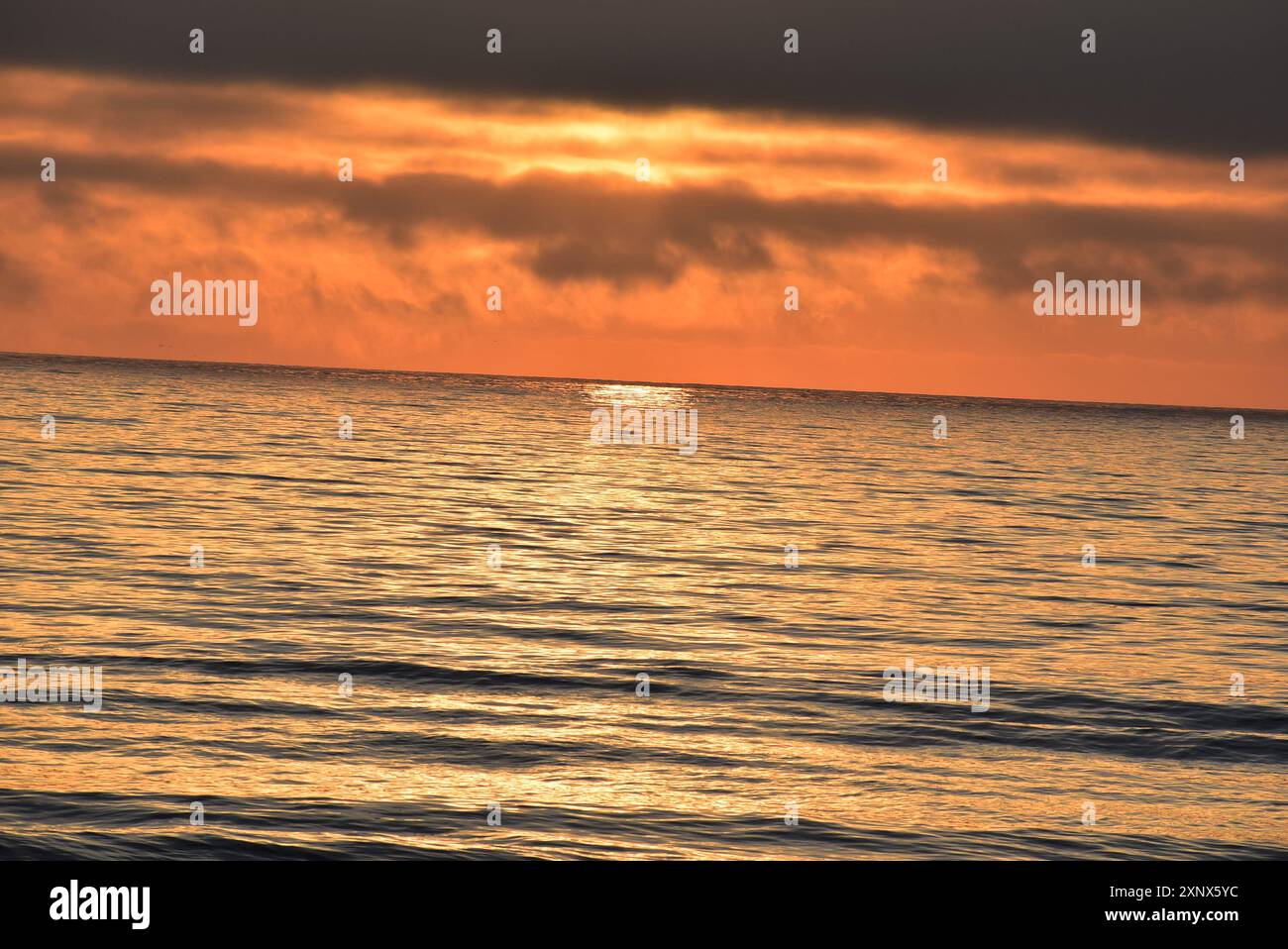Torrey Pines Beach Sunset Stock Photo - Alamy