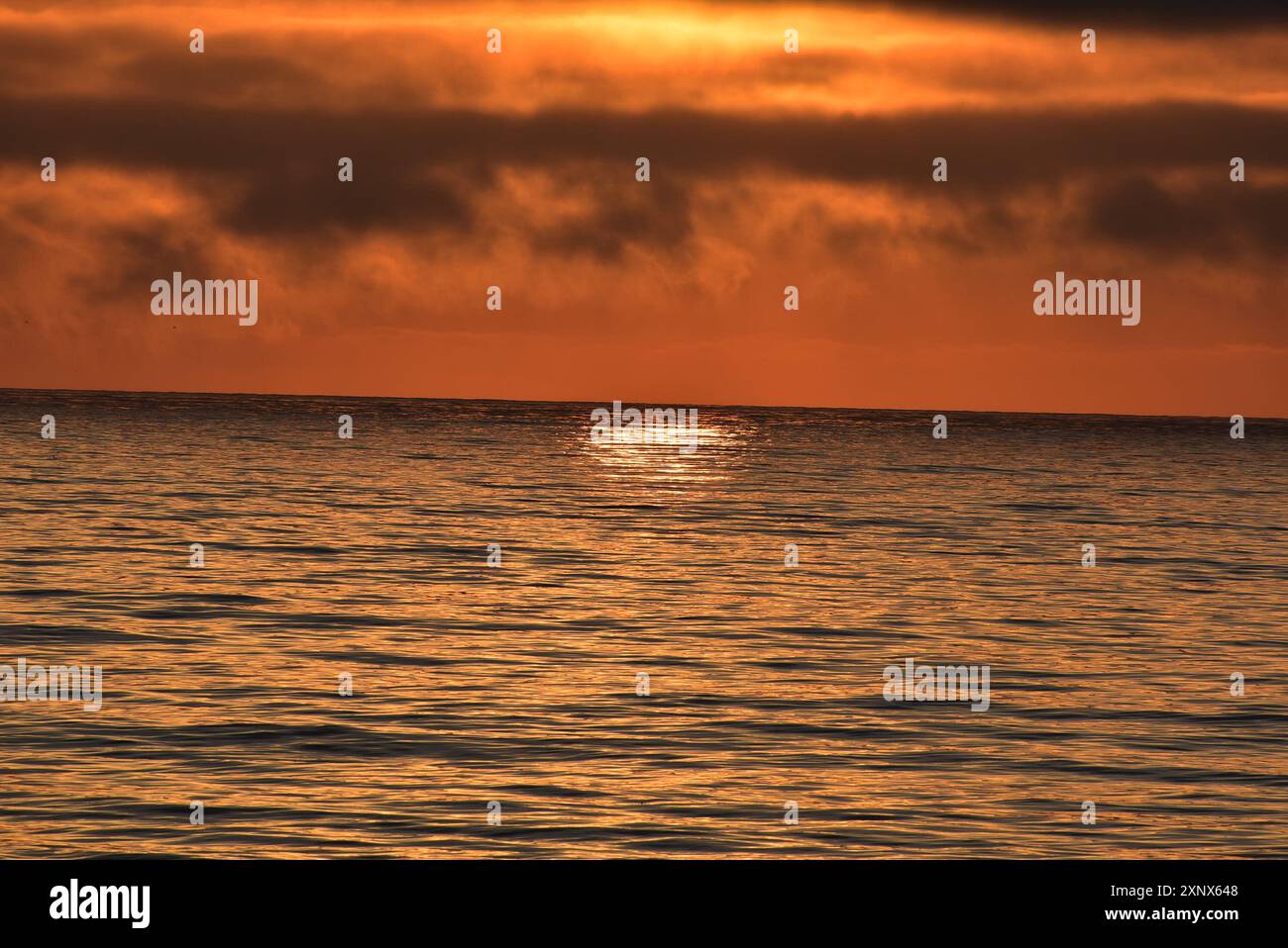 Torrey Pines Beach Sunset Stock Photo - Alamy