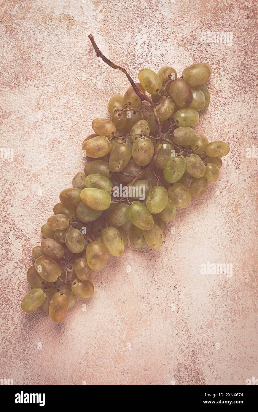 A branch of white grapes, wine grapes, Georgian grape variety ...