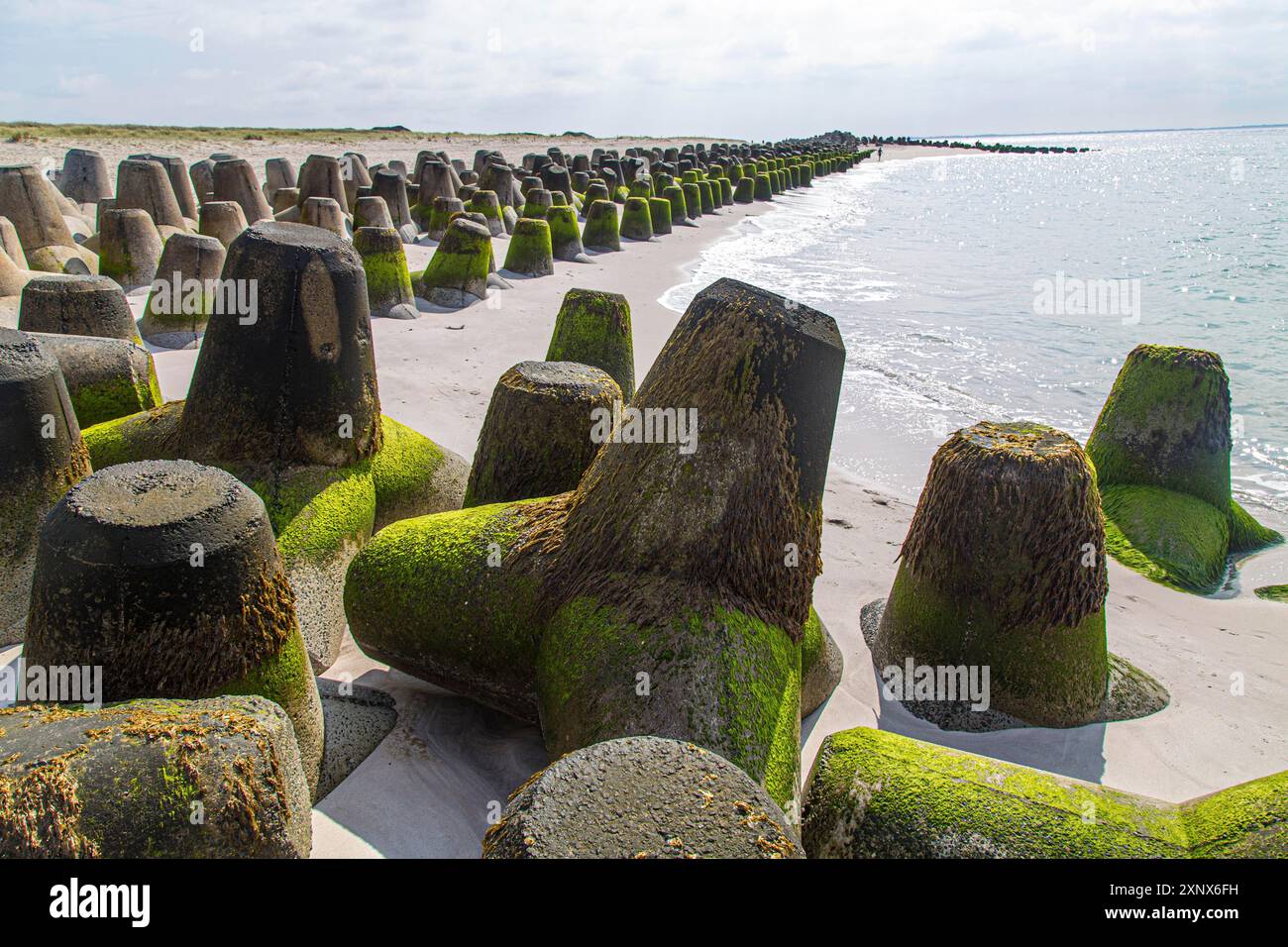 Beach protection by tetrapods, to be seen on the beach walk from ...