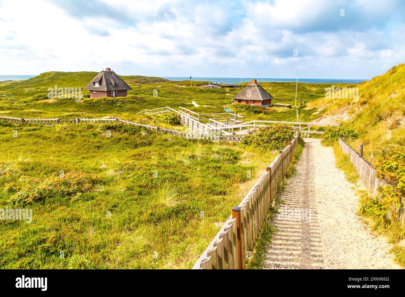 Thatched-roof villas in the dune belt of the Kersig estate in Hoernum ...