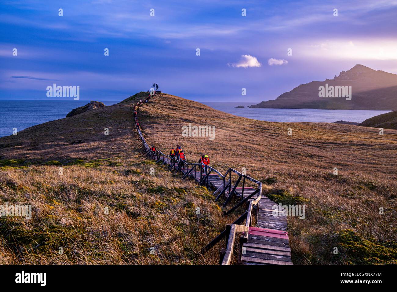 Kap horn hi-res stock photography and images - Alamy