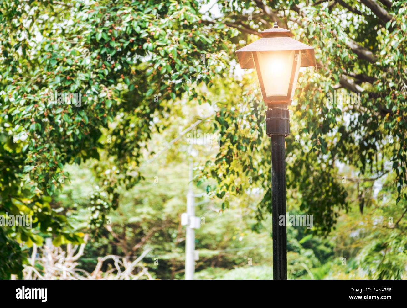 A lantern pole in a square with copy space, An illuminated lantern pole, Public lantern pole ...