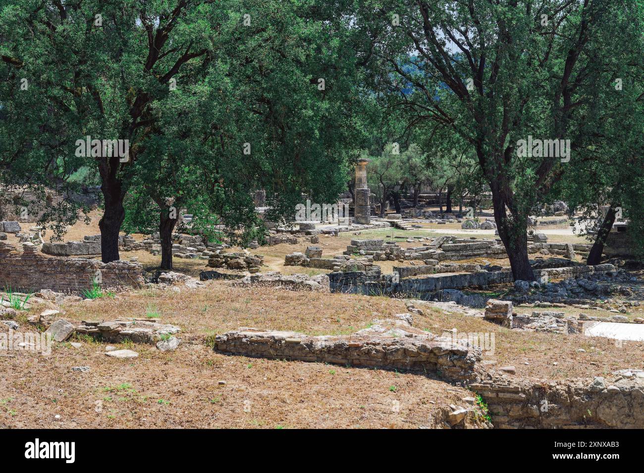 Overgrown stadium ancient roman hi-res stock photography and images - Alamy
