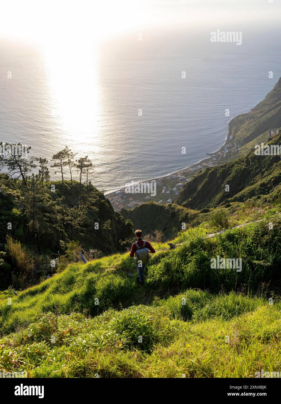 Young man looking out to sea on cliff, evening mood, green coastal ...