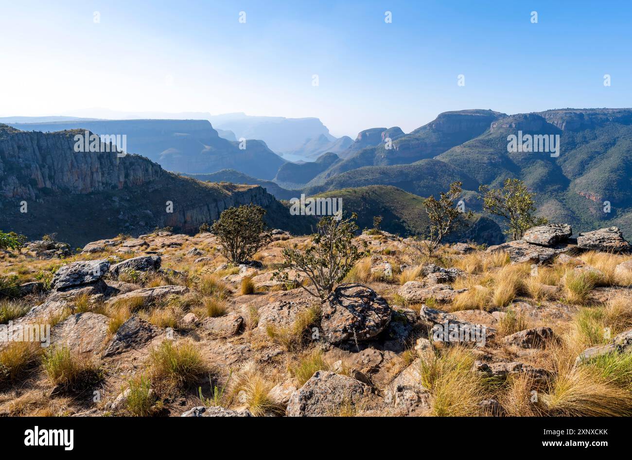 View of the Blyde River gorge, Lowveld Viewpoint, in the evening light ...