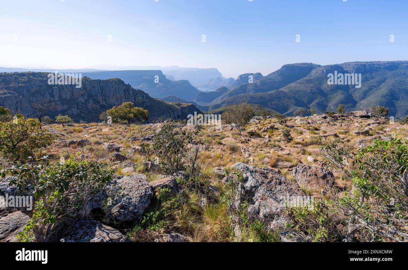 View of the Blyde River gorge, Lowveld Viewpoint, in the evening light ...