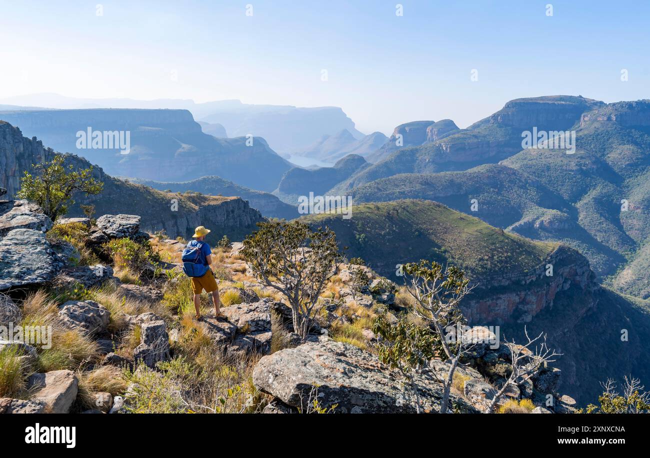 Tourist looking over canyon landscape, view of Blyde River gorge ...