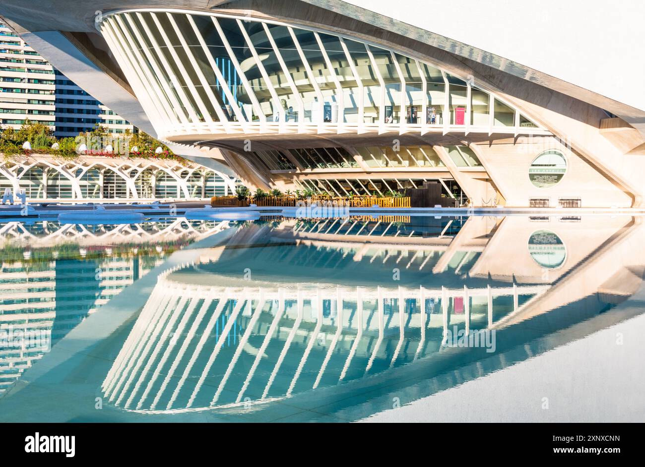 Palau de les Arts Reina Sofia Palacio de las Artes Reina Sofia Queen ...