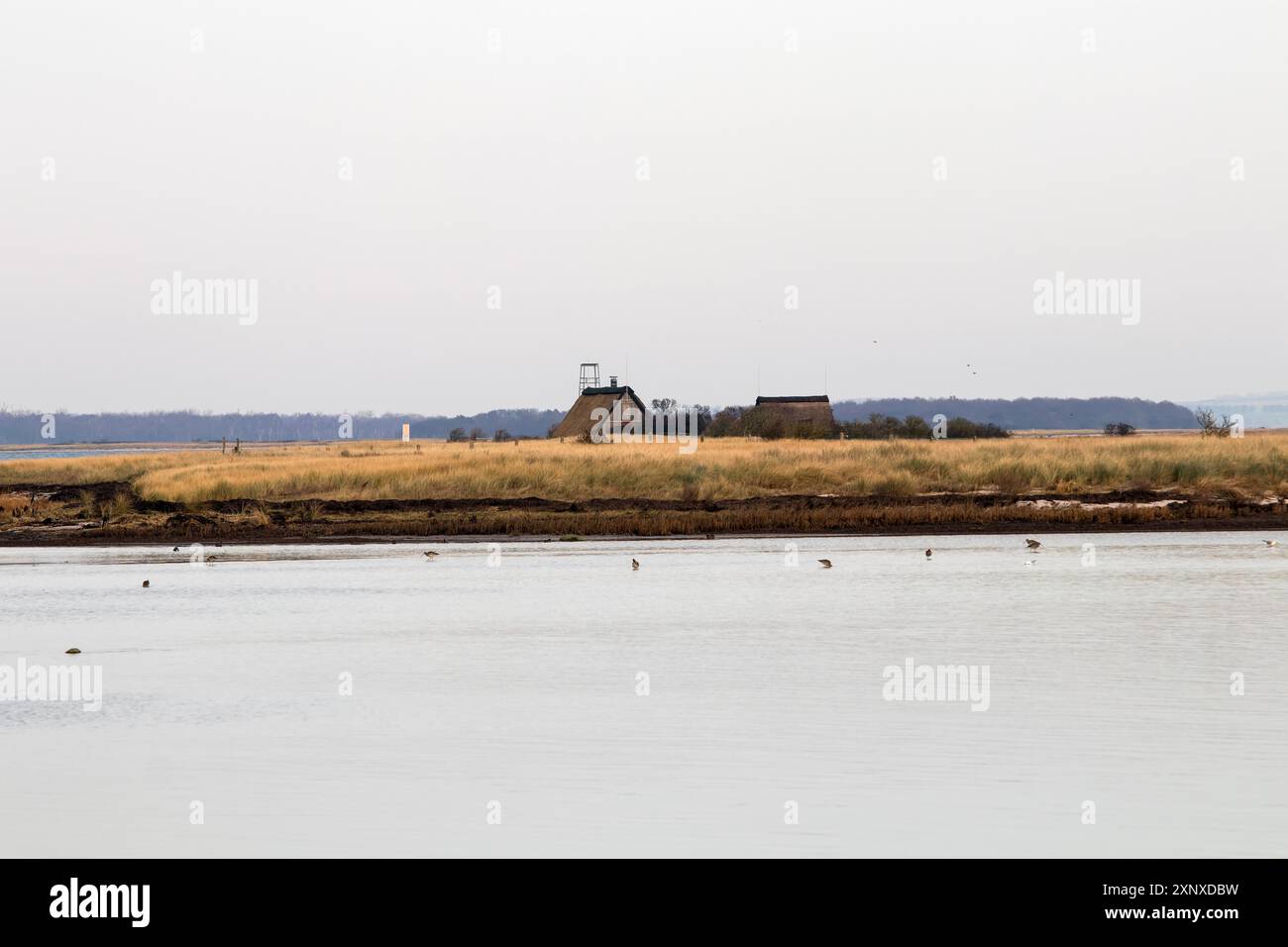 Gollwitz hi-res stock photography and images - Alamy