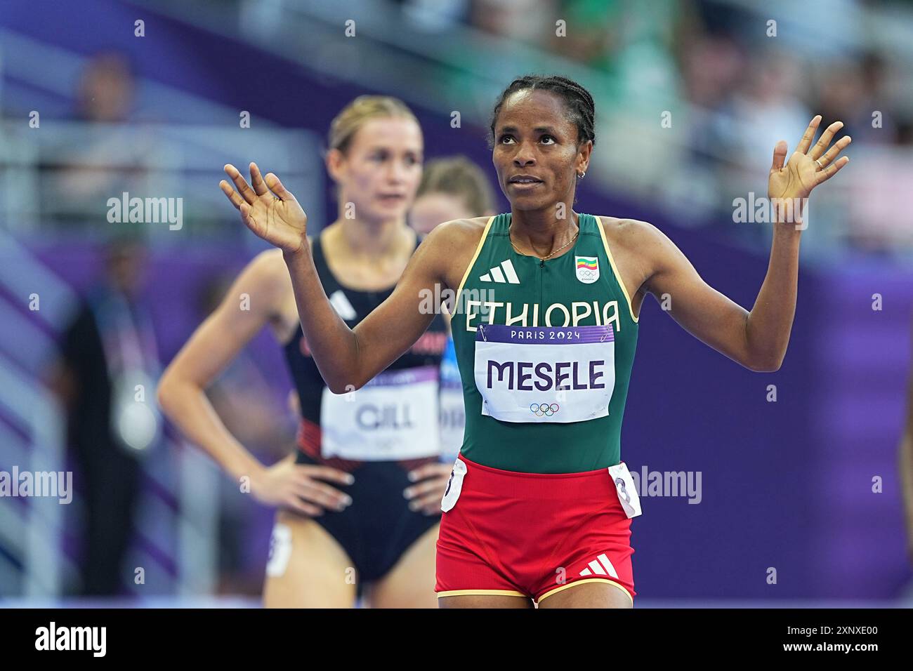 Worknesh mesele paris 2024 hi-res stock photography and images - Alamy