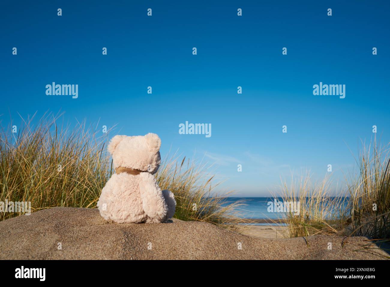 Sad teddy bear Stock Photo - Alamy