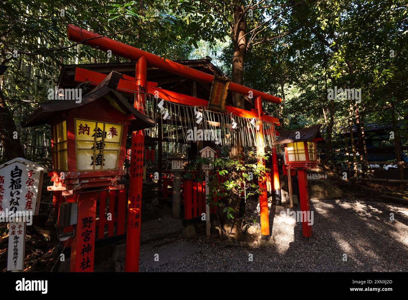 Red torii gate and lantern of beautiful Shinto shrine, Nonomiya Shrine, located in autumal ...