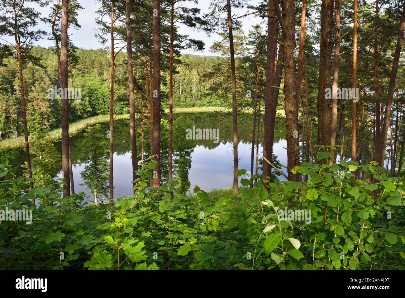Linkmenas lake seen from the Ginuciai mound where the famous Linknenys ...