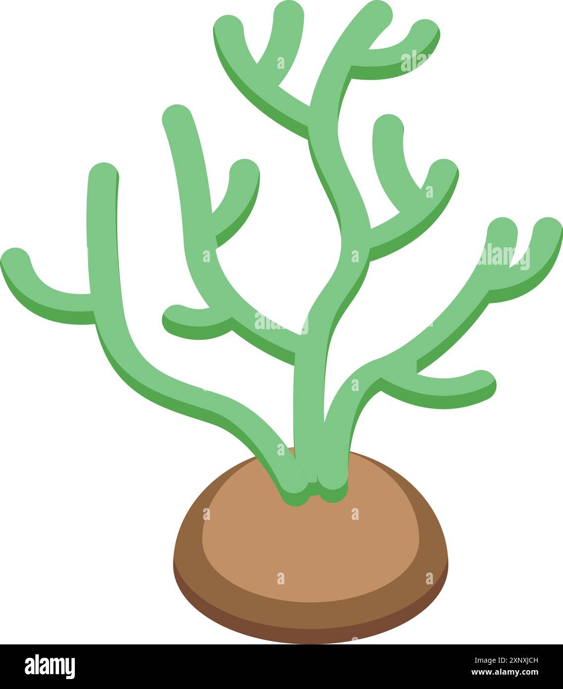 Green seaweed growing on the seabed, marine plant with long thin stem ...