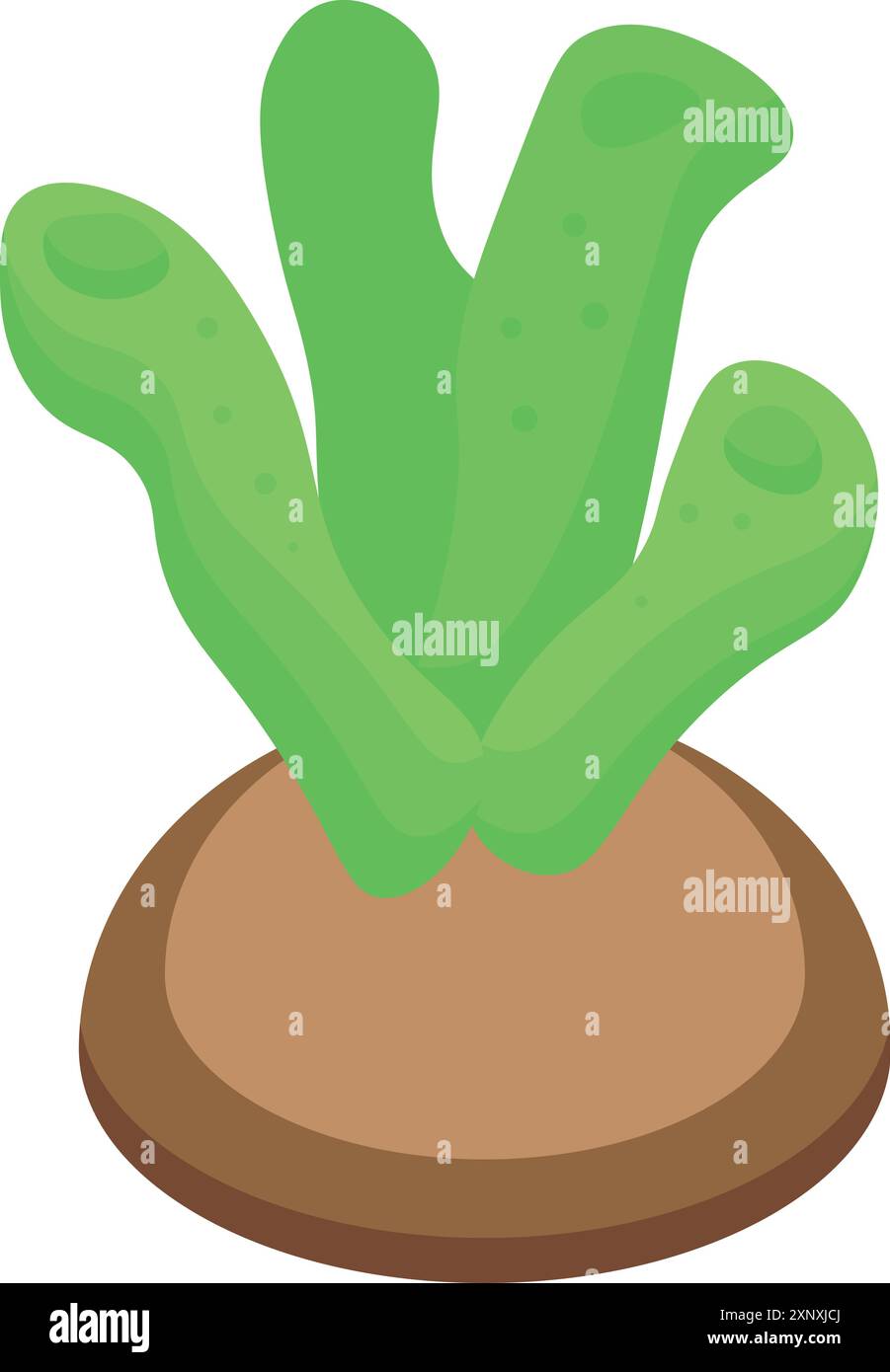 Green algae growing on a rock isometric illustration Stock Vector Image ...