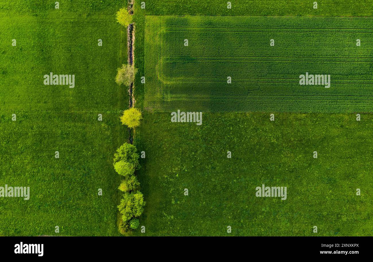Aerial top down view irrigation hi-res stock photography and images - Alamy