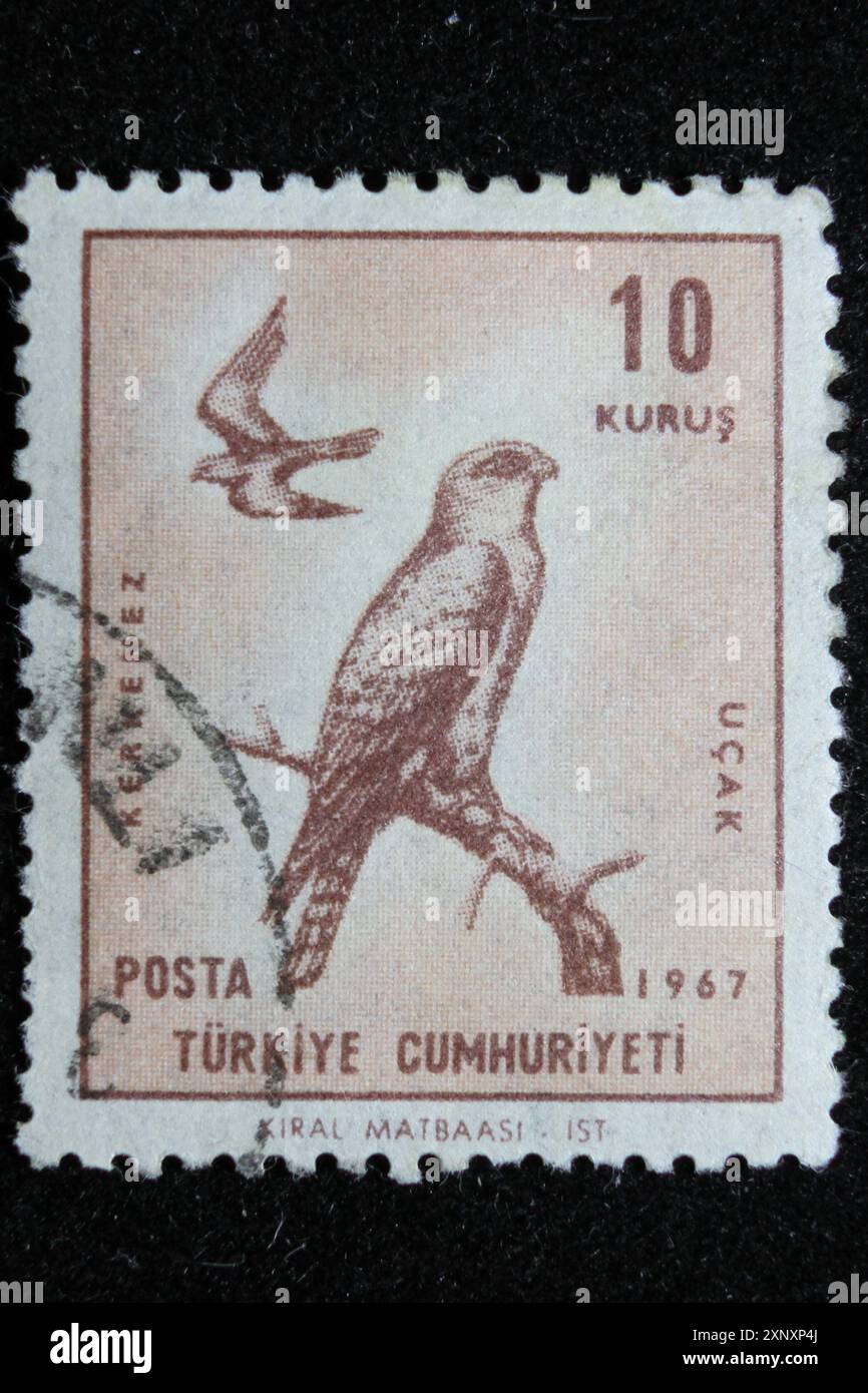 ISTANBUL, TURKEY - DECEMBER 26, 2020: Turkish stamp shows Kestrel circa ...