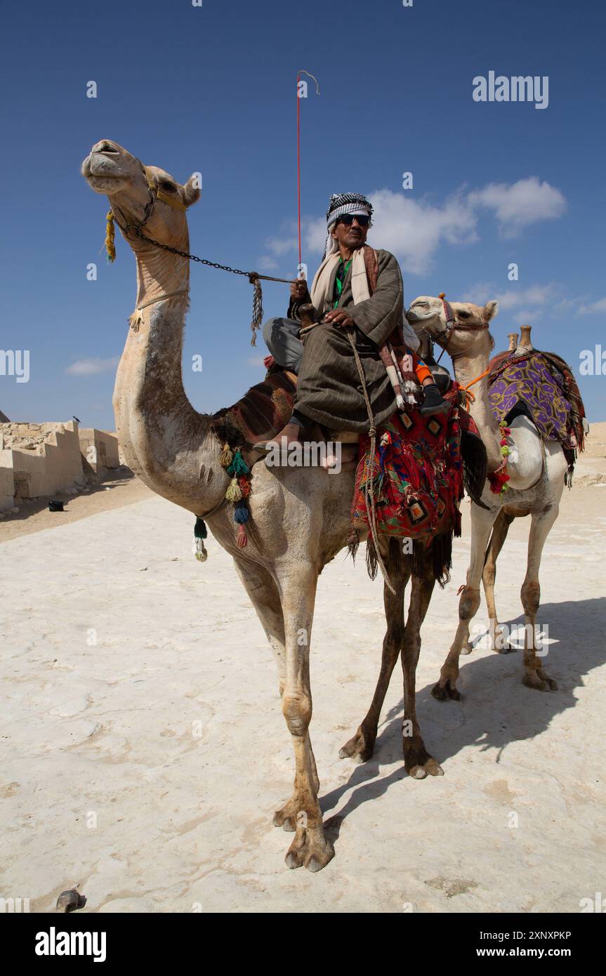 Man and Camel, Giza Pyramid Complex, UNESCO World Heritage Site, Giza ...