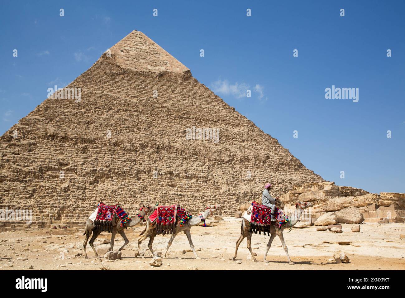 Man with Camels, Pyramid of Khafre Chephren in the background, Giza ...